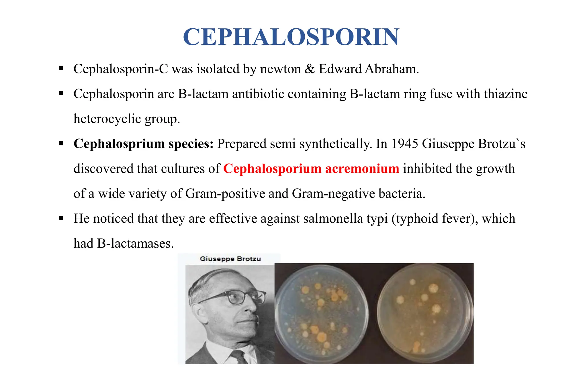 Cephalosporin Pptx