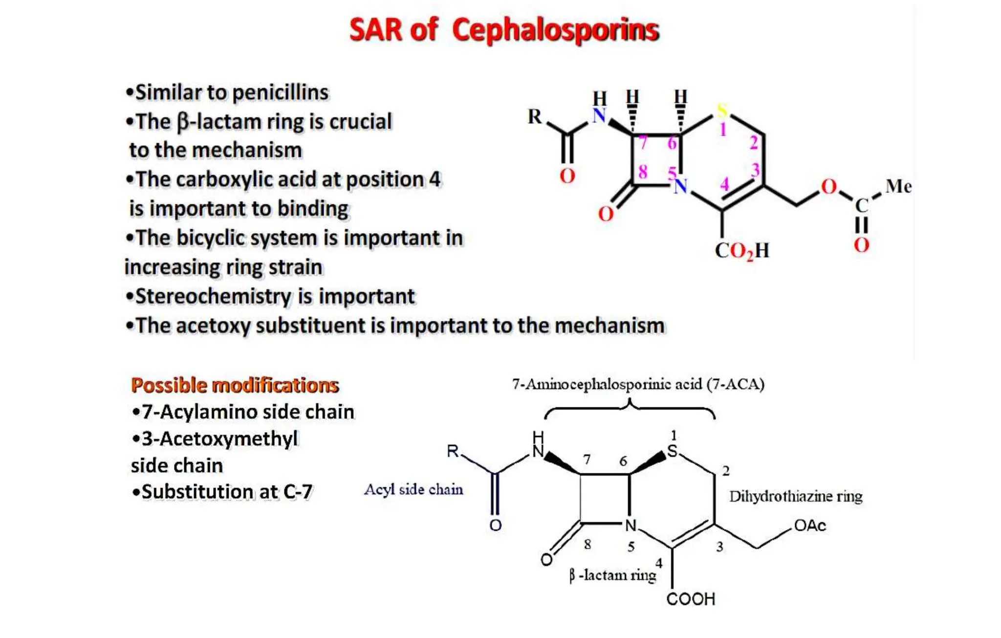 CEPHALOSPORIN.pptx