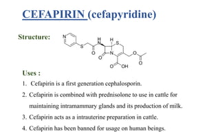 CEPHALOSPORIN.pptx