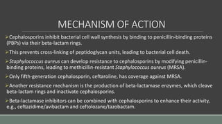 CEPHALOSPORIN - antibiotics, full details | PDF