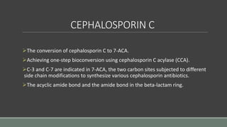CEPHALOSPORIN - antibiotics, full details | PDF