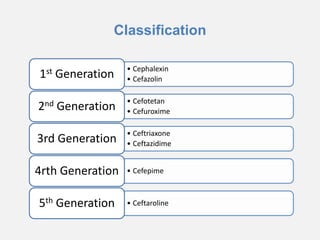 Cephalosporin | PPT