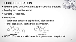 Cephalosporin and aminoglycoside | PPTX