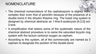 Cephalosporin and aminoglycoside | PPTX