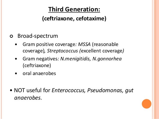 Cephalosporins - Pharmacology