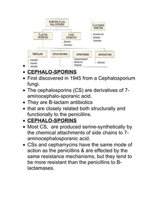 Cephalosporins | DOC