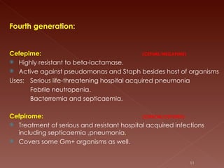 cephalosporins | PPT