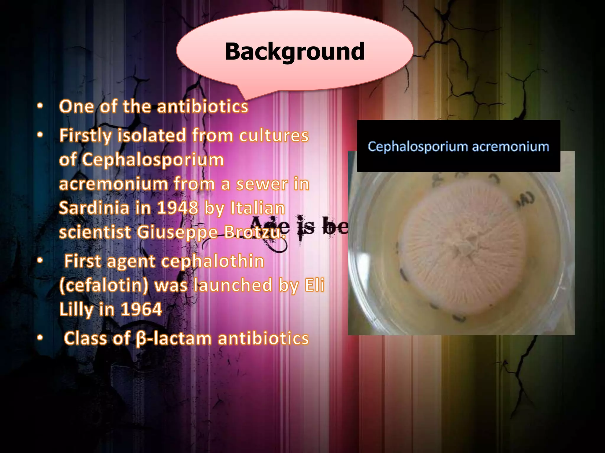 Cephalosporins Pptx