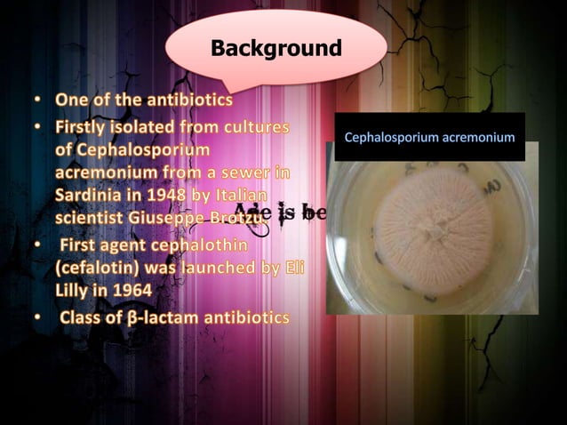 Cephalosporins | PPTX