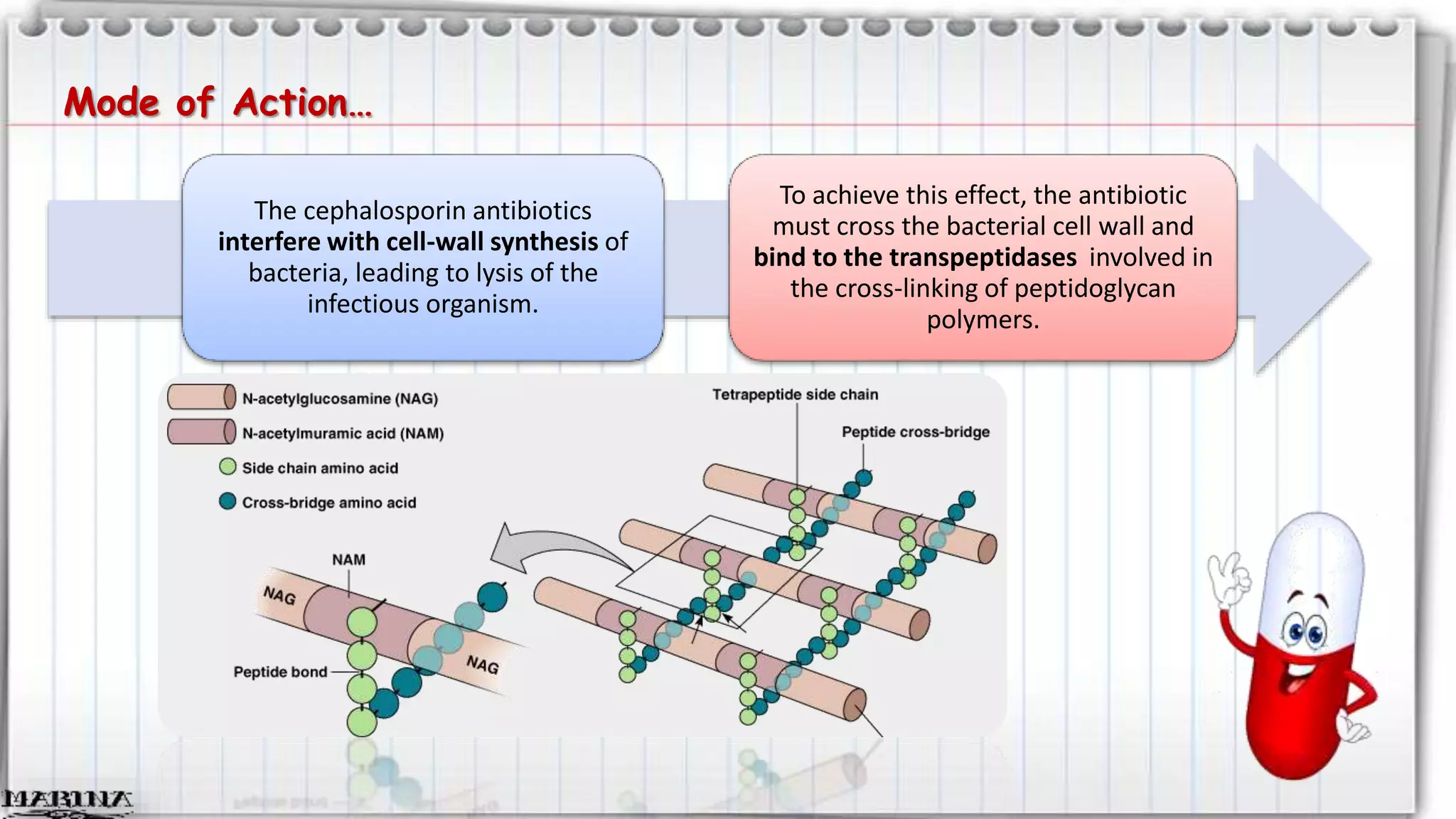 Cephalosporins Pptx