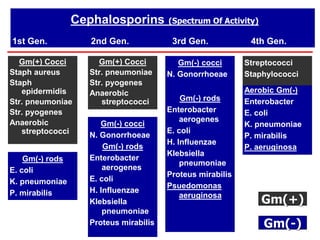 Cephalosporins | PPTX | Infectious Diseases | Diseases and Conditions