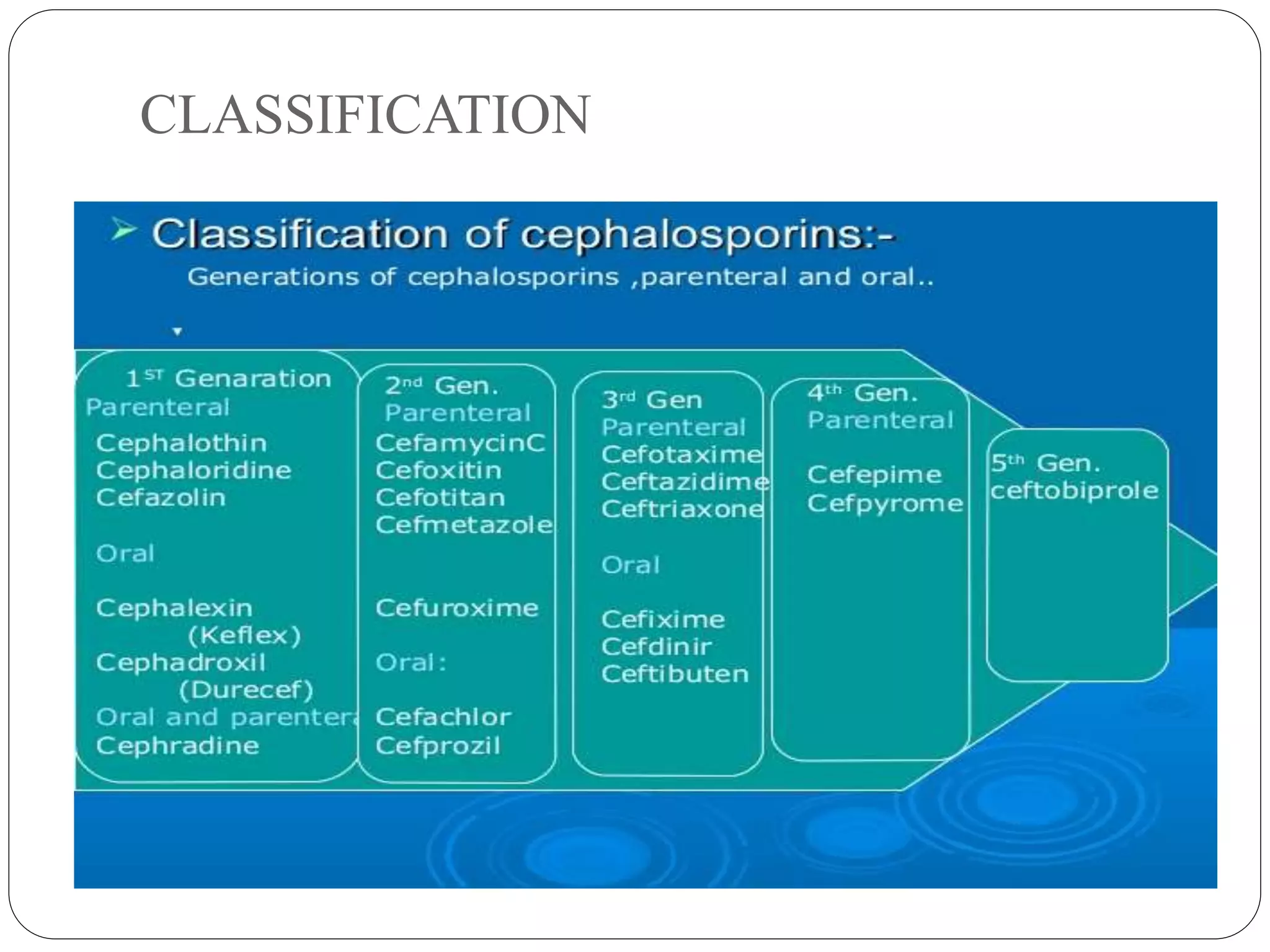Cephalosporins | PPTX
