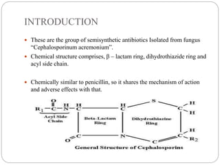 Cephalosporins | PPT