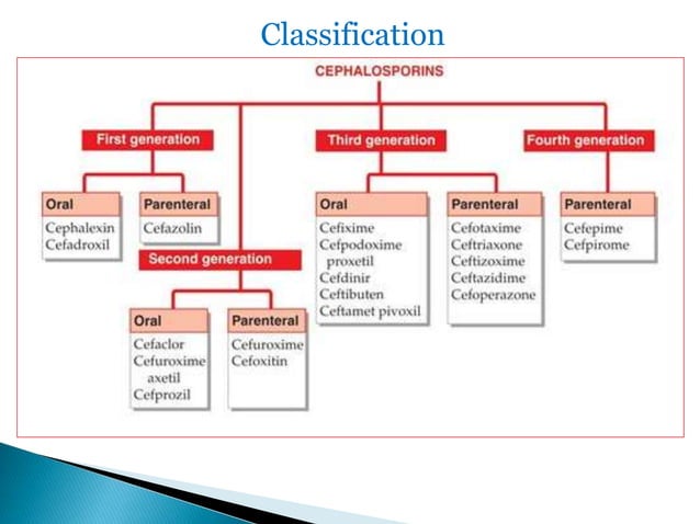 Pharmacology of Cephalosporins | PPTX | Infectious Diseases | Diseases ...