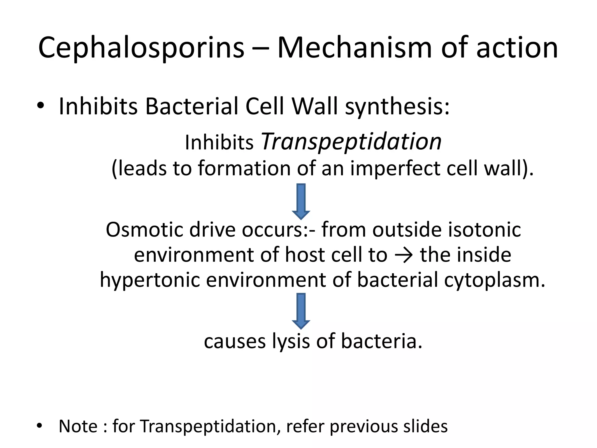 Cephalosporins Pdf