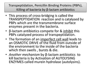 Cephalosporins | PDF | Infectious Diseases | Diseases and Conditions
