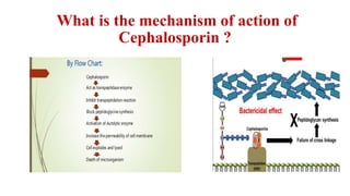 Cephalosporins Pptx