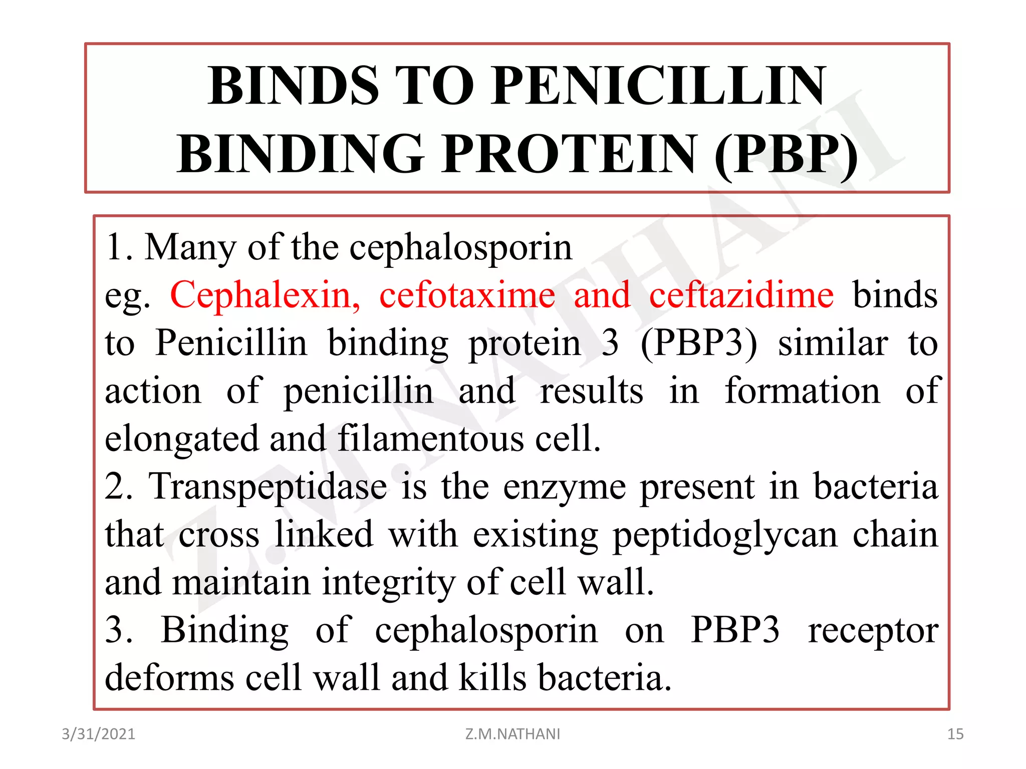 Cephalosporins | PPTX