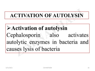 Cephalosporins | PPT