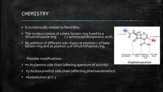 Cephalosporins | PPTX
