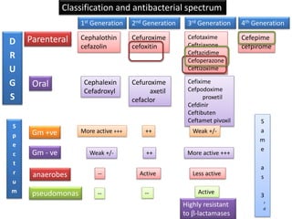 Cephalosporins | PPT