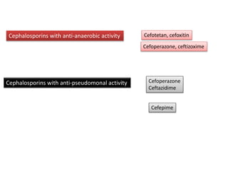 Cephalosporins | PPT