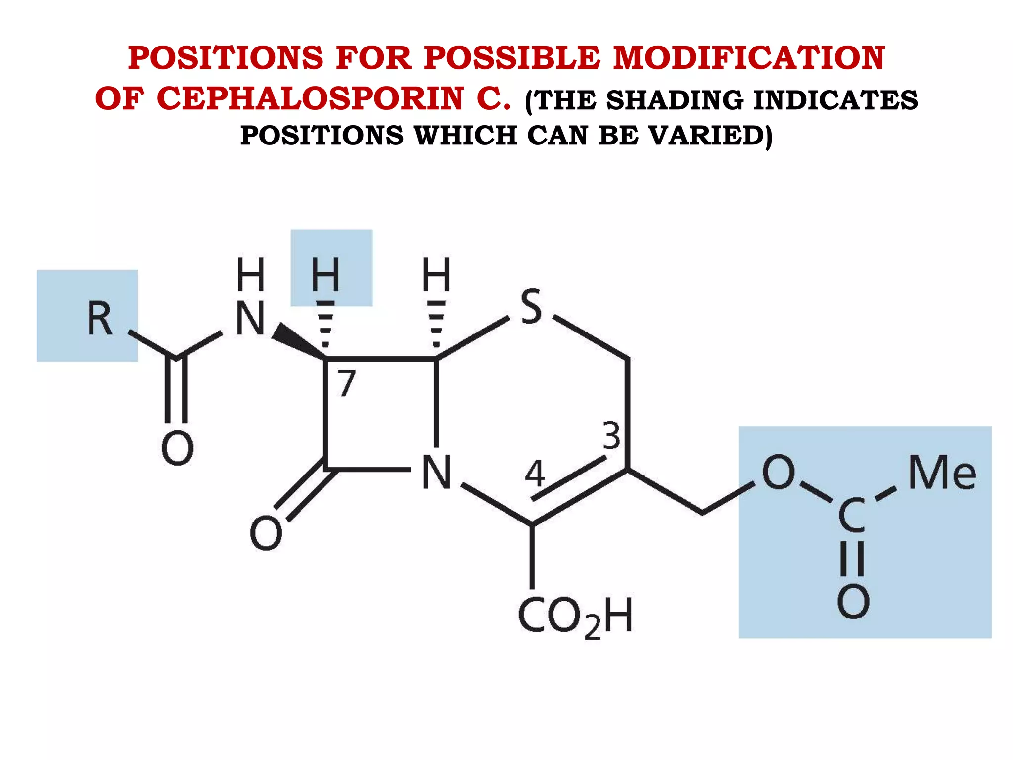 Cephalosporin- Beta lactam Antibiotic | PPT