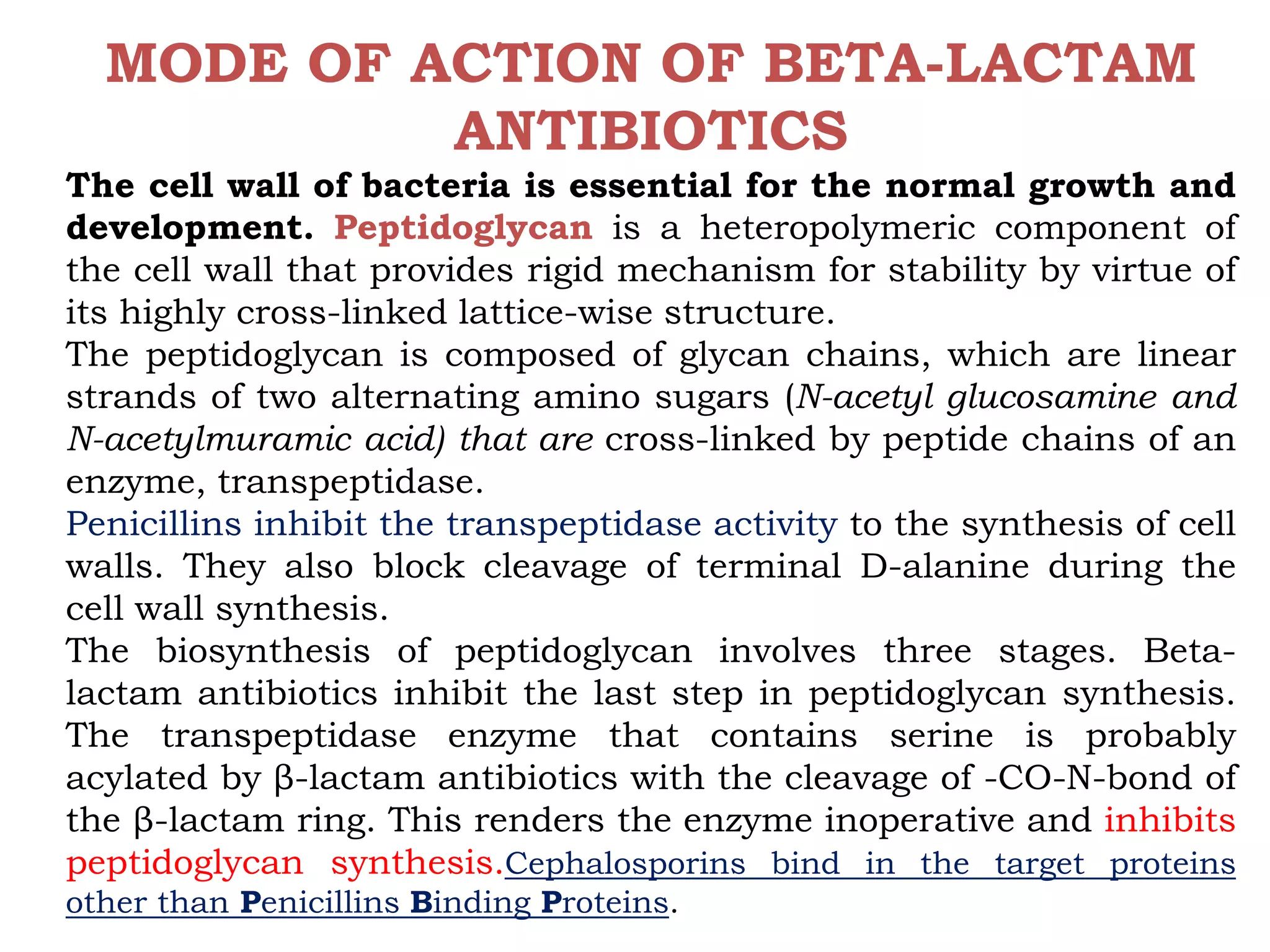 Cephalosporin- Beta lactam Antibiotic | PPT
