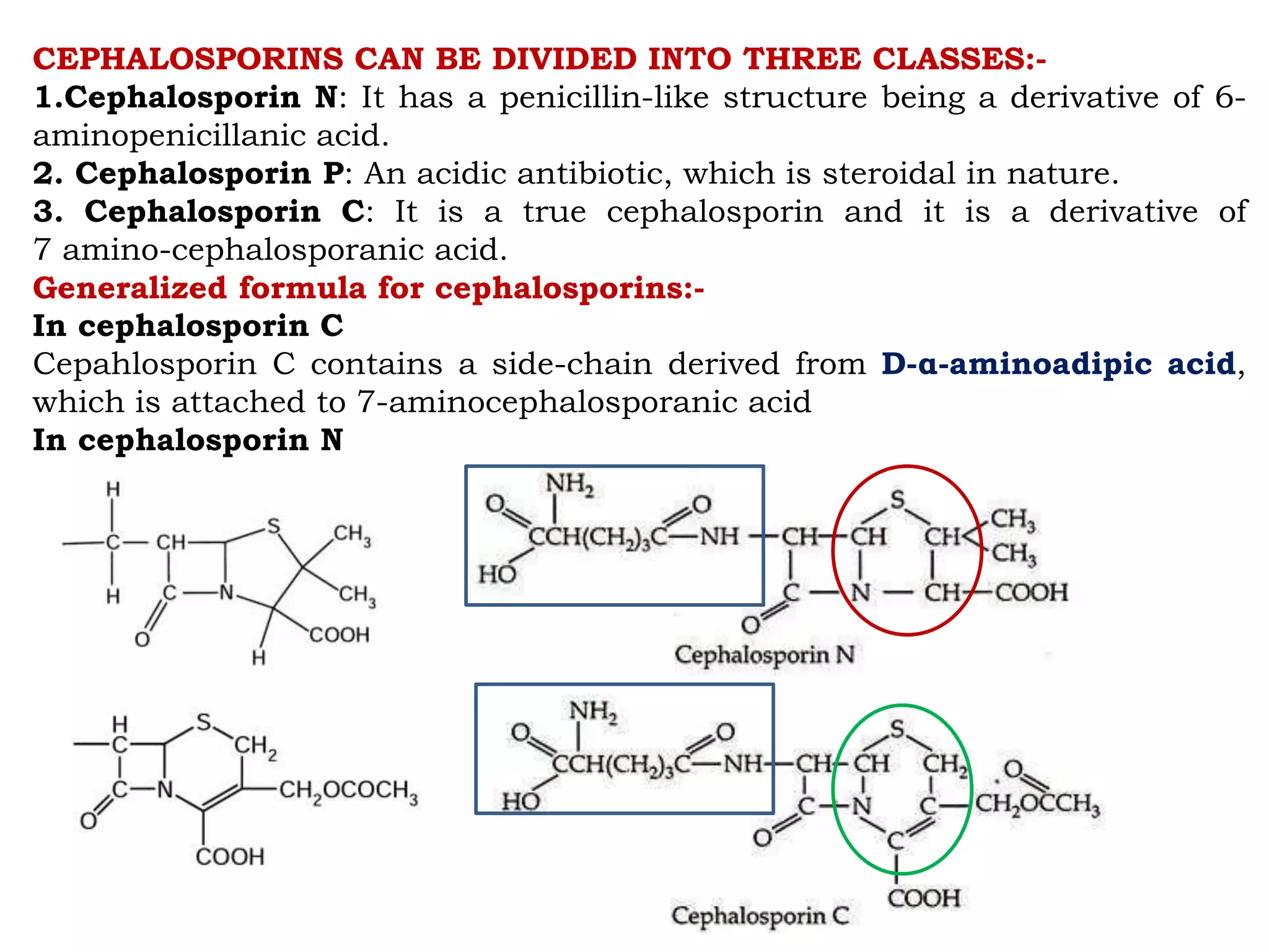 Cephalosporin- Beta lactam Antibiotic | PPT