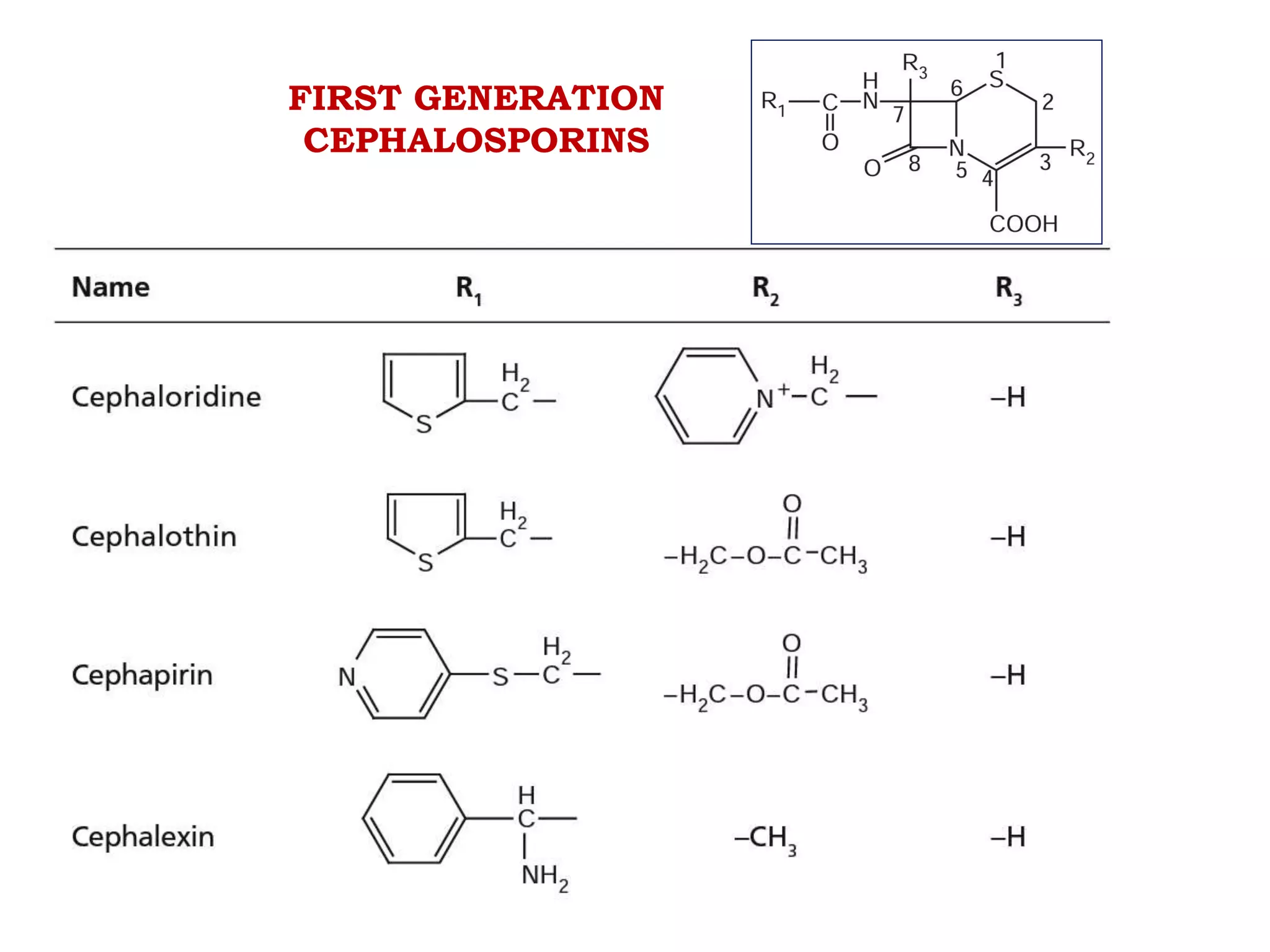 Cephalosporin- Beta lactam Antibiotic | PPT