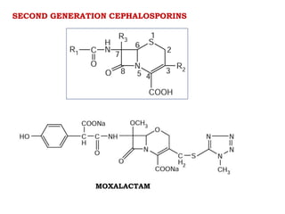 Cephalosporin- Beta lactam Antibiotic | PPT