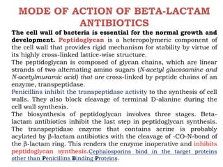 Cephalosporin- Beta lactam Antibiotic | PPT