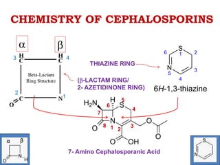 Cephalosporin- Beta lactam Antibiotic | PPT
