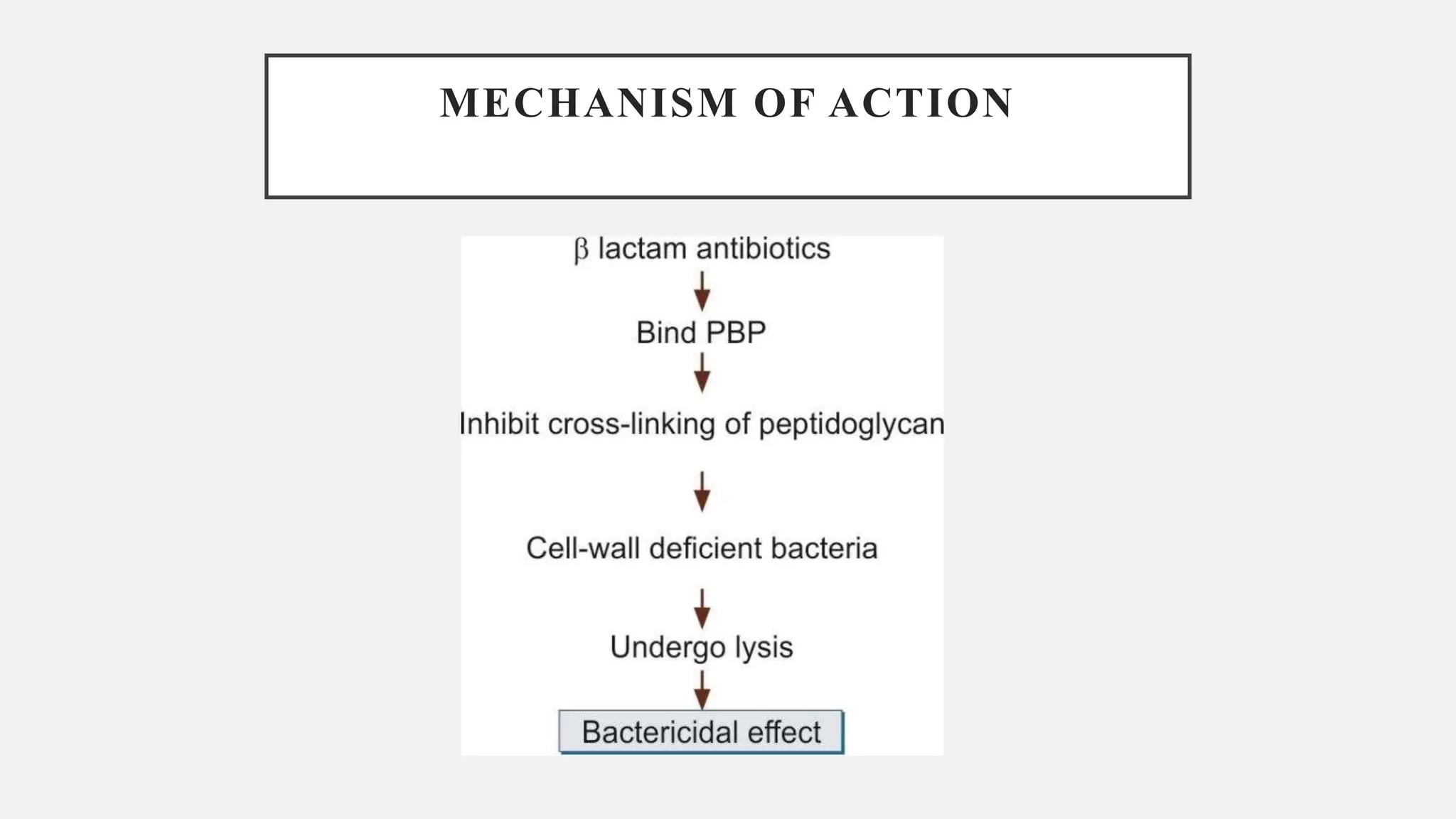 Case Presentation Cephalosporins Pptx Onco Pptx