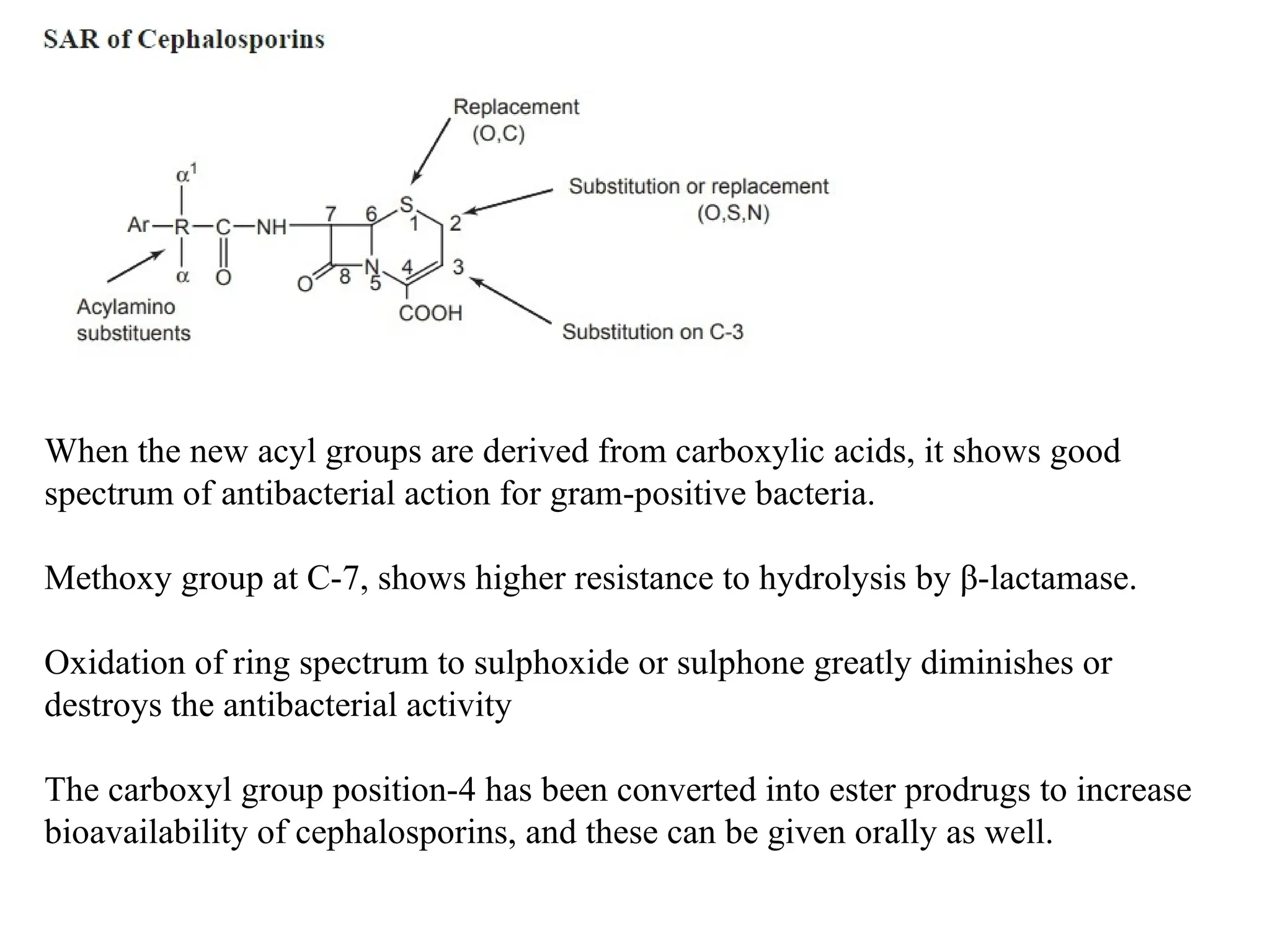 Introduction to Cephalosporin Antibiotics | PPTX