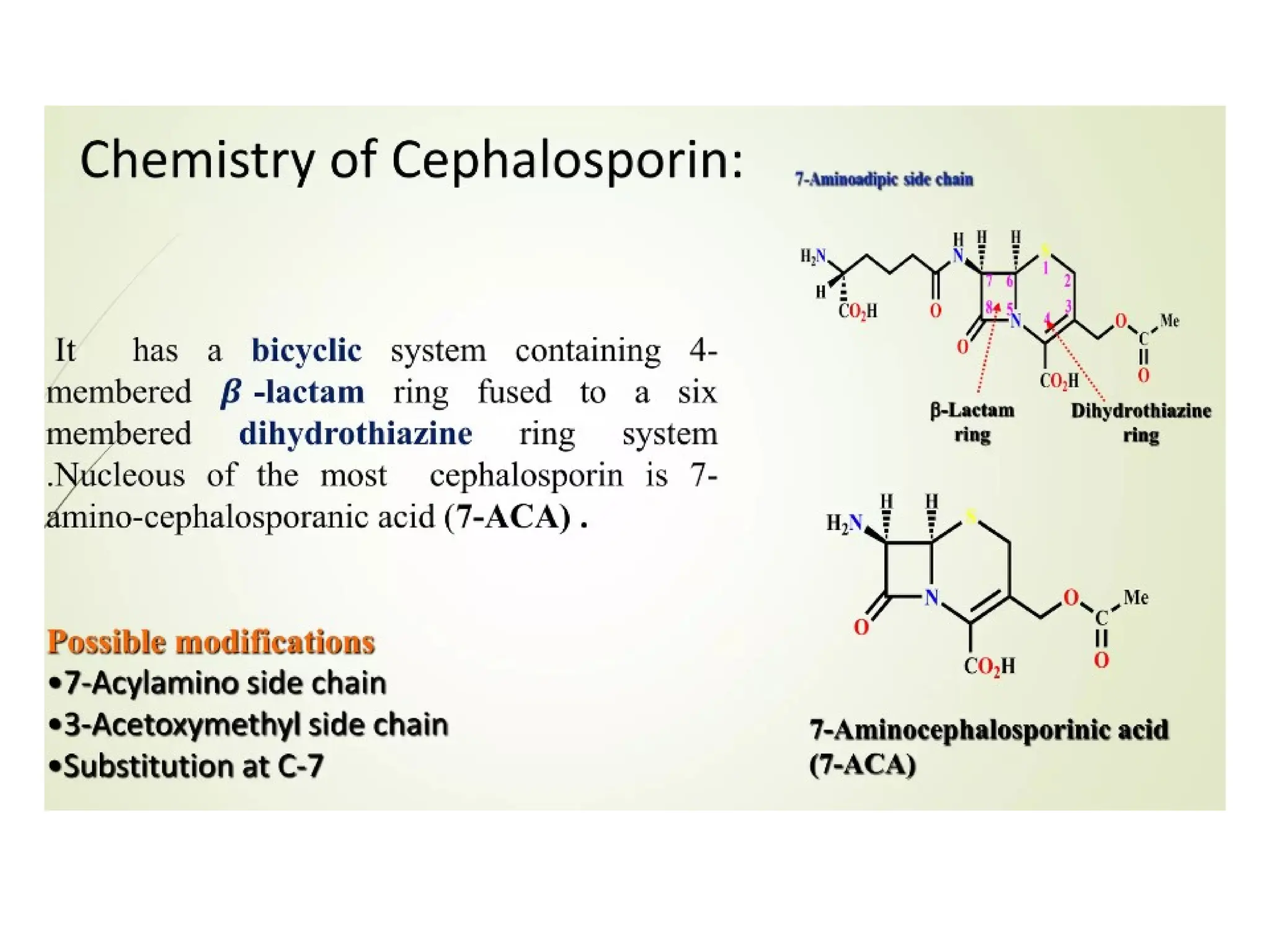 Introduction to Cephalosporin Antibiotics | PPTX