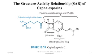 Cephalosporins a Class of Beta Lactam Antibiotics and Monobactam ...