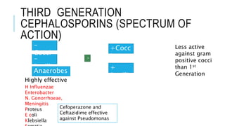 Cephalosporins | PPTX