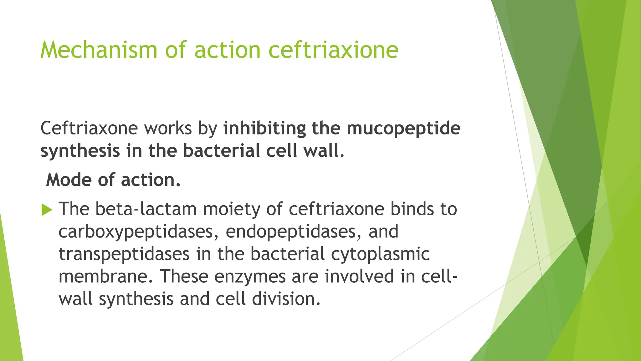 Cephalosporins pharmacology presentation | PPTX