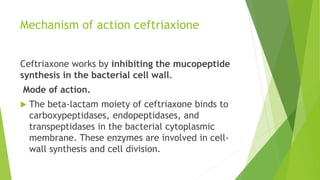 Cephalosporins pharmacology presentation | PPTX