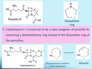 Antibiotics: Cephalosporins & Monobactams.pdf