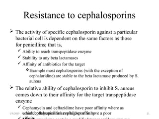 cephalosporins prnt (1) (1).pptxscteiciteitcec | PPTX