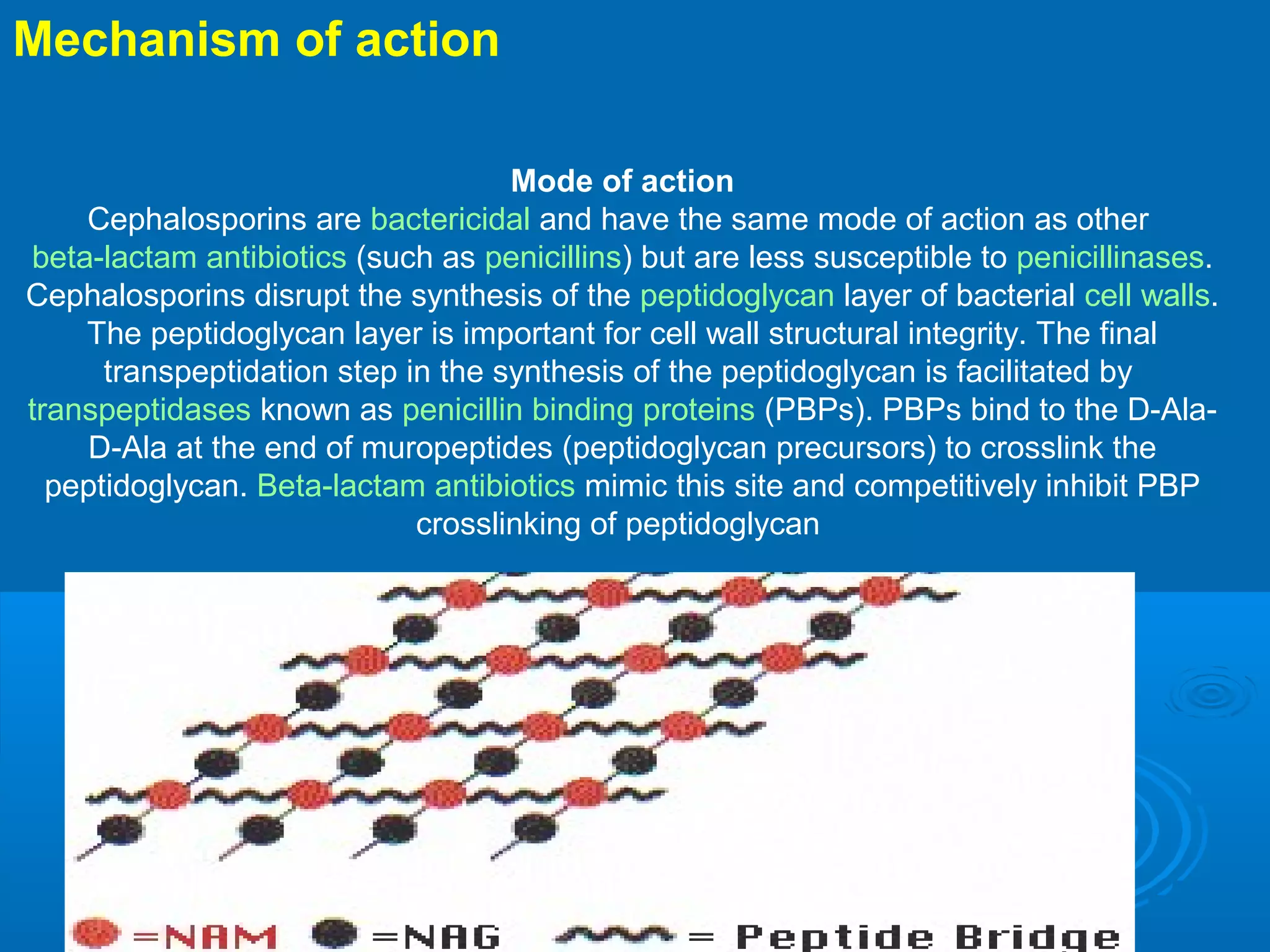 Cephalosporins- History,Classification,Sar,Synthesis,Mechanism of ...