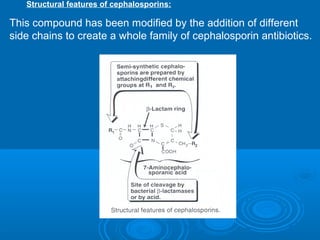Cephalosporins- History,Classification,Sar,Synthesis,Mechanism of ...