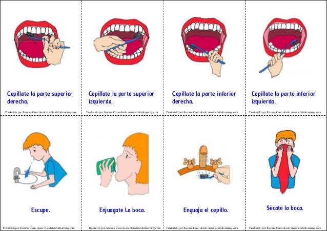 Bloque V. Cuidado de la salud: Cuidado de la Salud en sexto de primaria