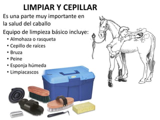 Cepillado y limpieza del caballo sencillo.pdf