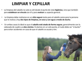 Cepillado y limpieza del caballo sencillo.pdf