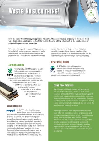 Resource efficiency in the pulp and paper industry - making more from ...