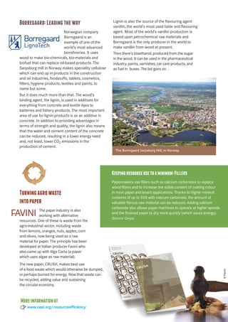 Resource efficiency in the pulp and paper industry - making more from ...