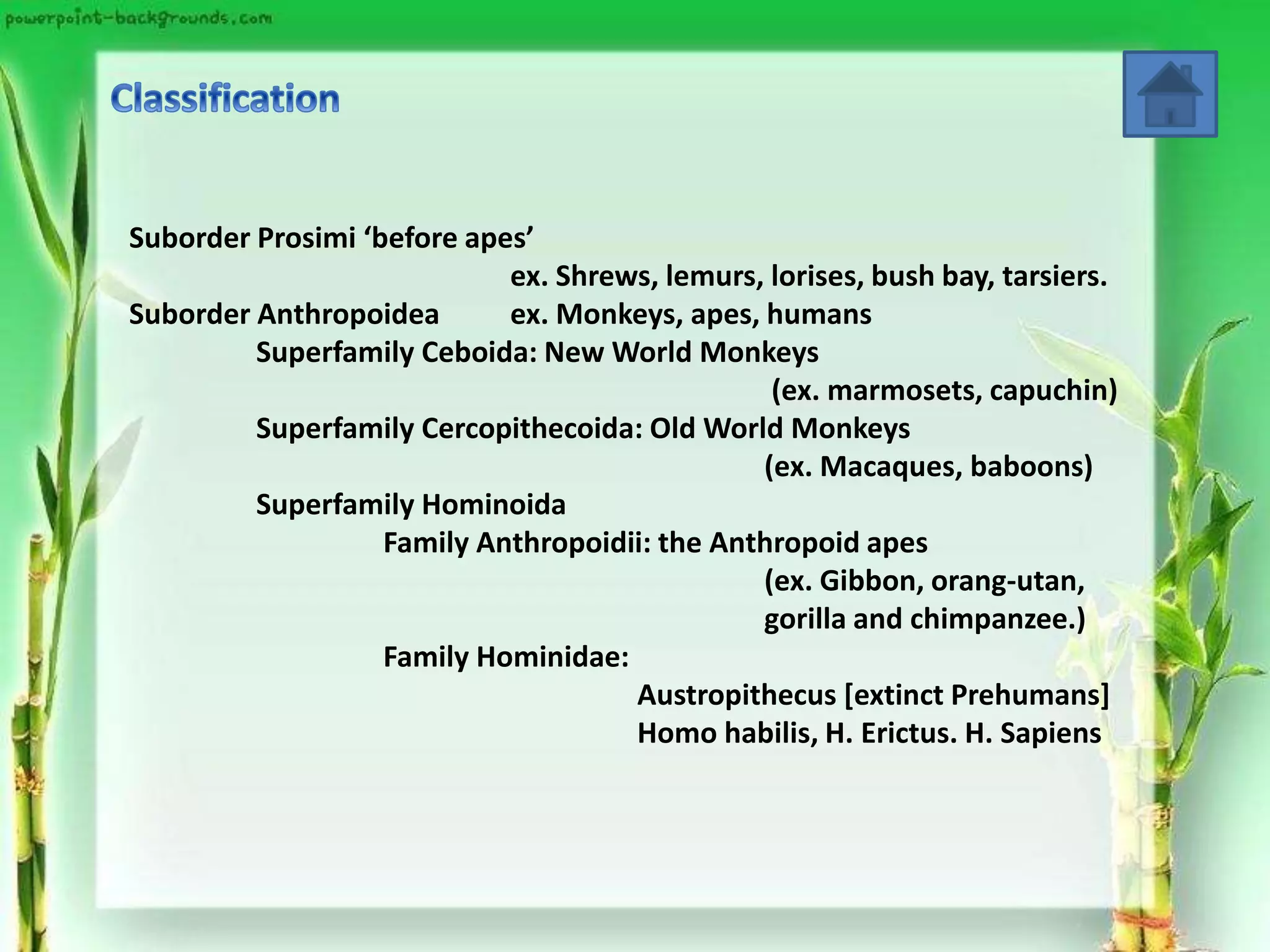 different primates all over the world | PPTX